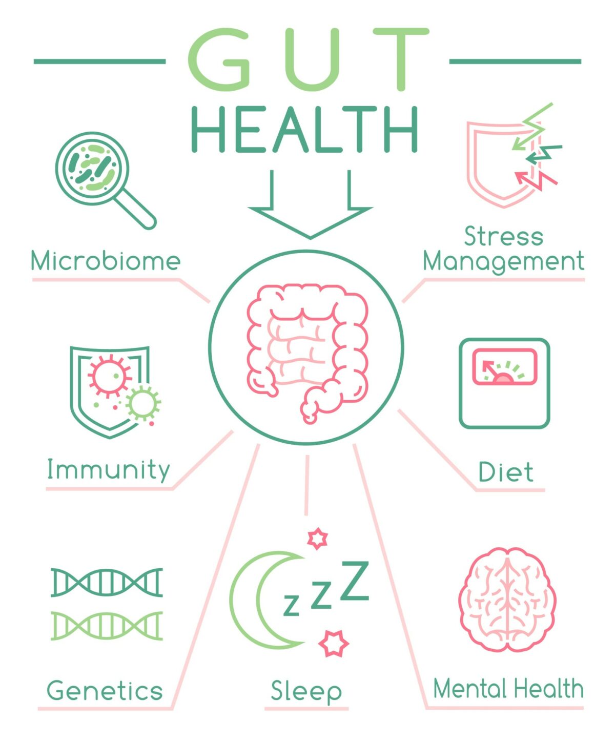 Importance Of Gut Health How And Why To Keep Your Gut Bacteria Nbkomputer